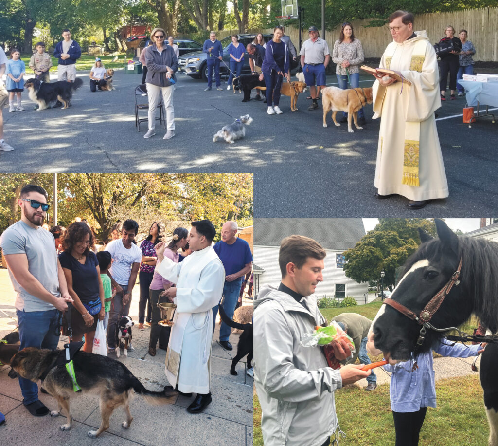 Pet Blessings around the diocese – The Beacon